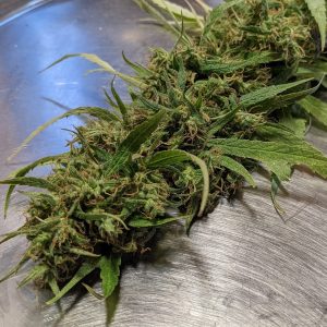 Shop our Essential Oils | Blue Ridge Aromatics – Handcrafted Essential ...